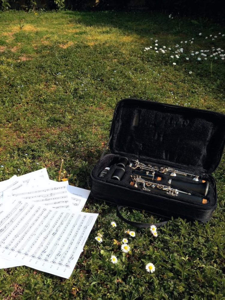 Free Clarinet Play-Along Videos and Work Booklets! – Passionate About ...